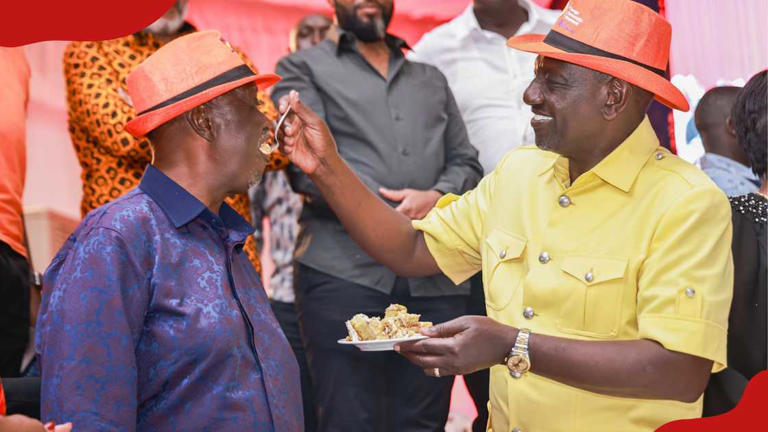 Hurdles for the ODM-UDA coalition engagement as a section branch ...